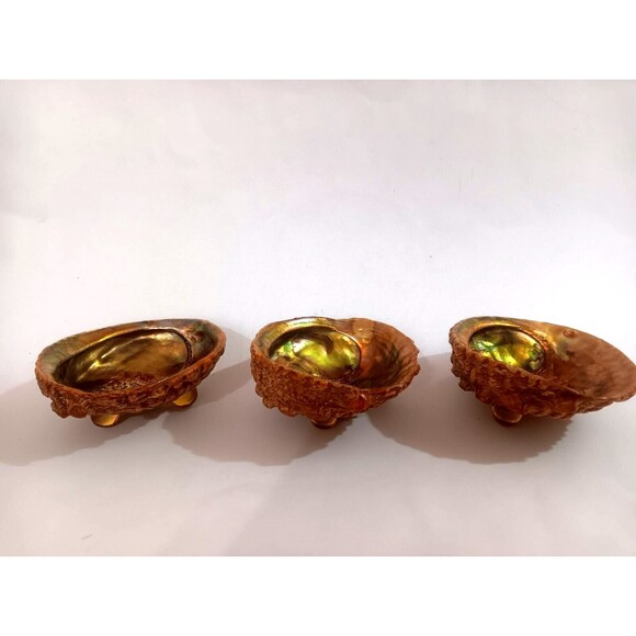 Wondermold Ind. Inc | Accents | Vtg Abalone Shell Lucite Footed ...